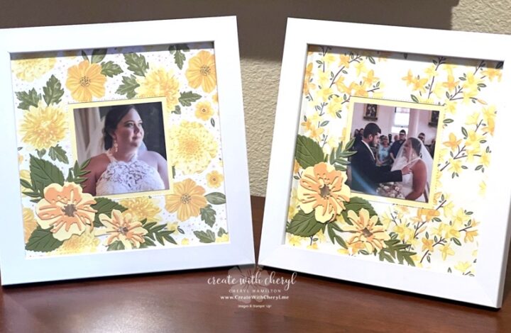 Sale-a-Bration Idea!! 6 x 6 Framed Photo with Video - Create With ...